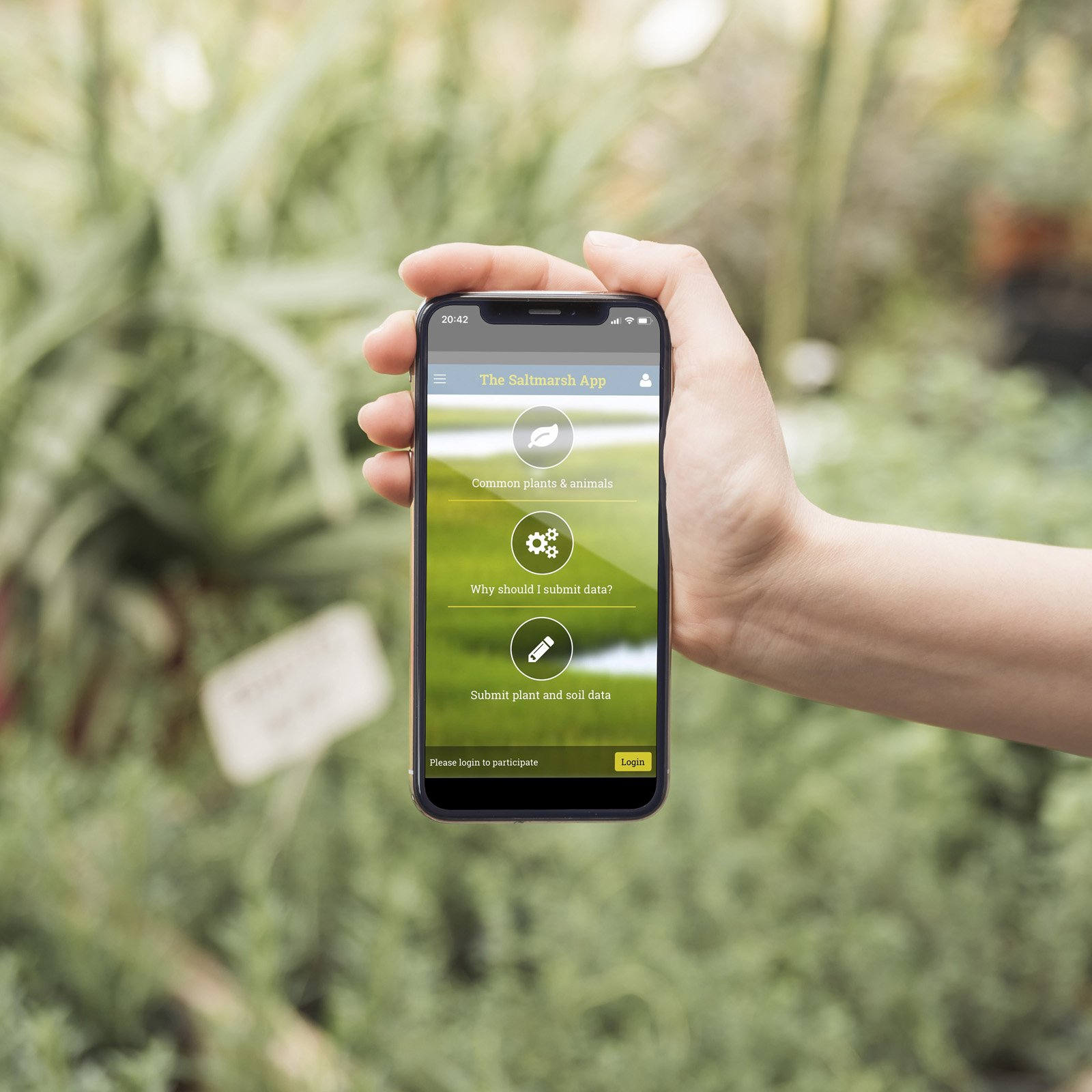 Salt Marshes - mobilna aplikacija - Opa!celica